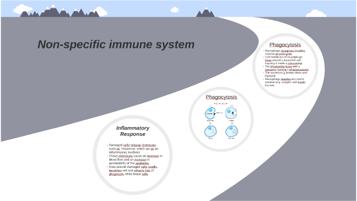 non-specific immune system by Alex Day on Prezi