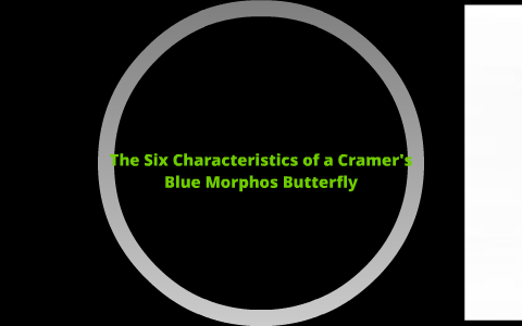 6 characteristics of a Cramer's Blue Morpho Butterfly by sneegalshurbin ...