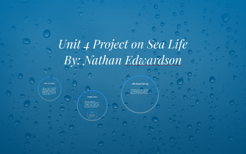 Unit 4 Project on Sea Life by Nathan Edwardson on Prezi