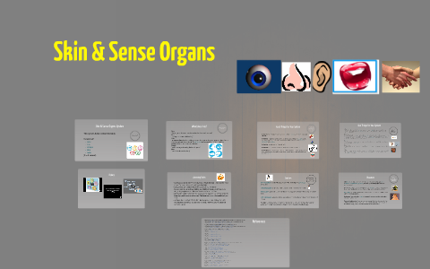 Skin & Sense Organs by Lyzz Alcantara on Prezi