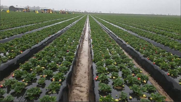 Jess Life Map by Jessica Lichter on Prezi