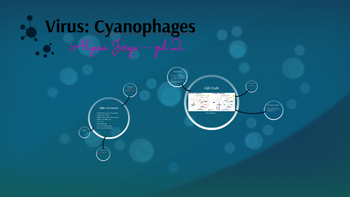 Virus: Cyanophages by Alyssa Jerge on Prezi