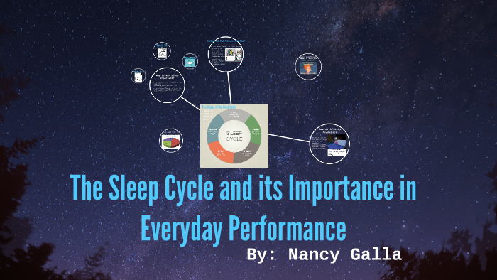 The Sleep Cycle and its Importance in Everyday Performance by Nancy ...