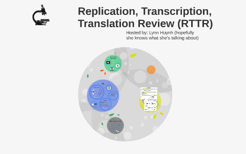 Replication, Transcription, Translation Review (RTTR) by Tristan ...