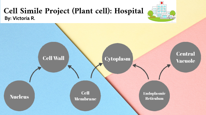 Cell simile: Hospital by Victoria Rienton on Prezi