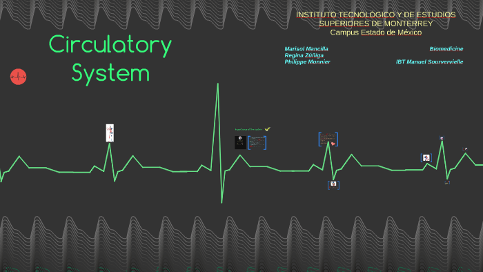 Circulatory System by Marisol Mancilla on Prezi
