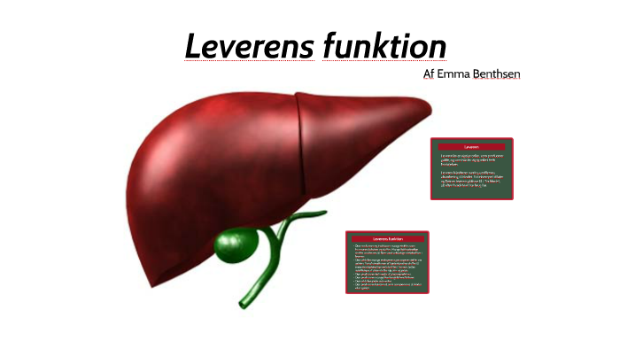 Leverens funktion by Emma Benthsen on Prezi