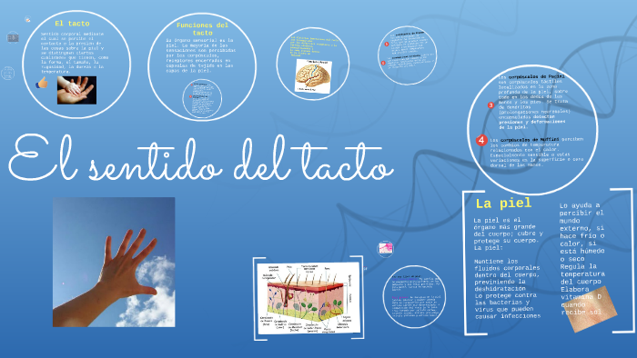 El sentido del tacto by Melãny Sol on Prezi