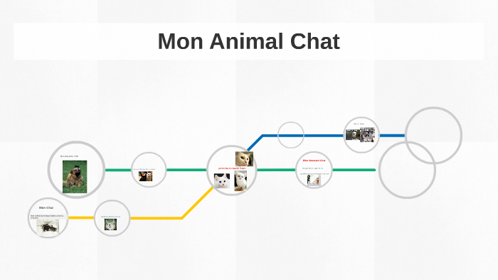 Mon Animal Prefere Chat by Ramsay Locke on Prezi