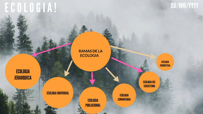 Ramas del Estudio de la Ecologia by estefania ponce on Prezi
