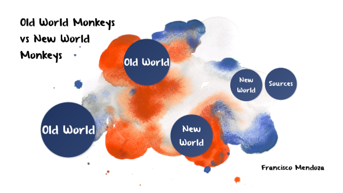 Old World Monkeys VS New World Monkeys by Francisco Mendoza on Prezi