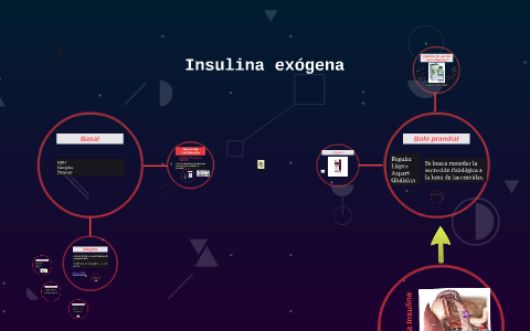 Insulina exógena by Eduardo Santana on Prezi