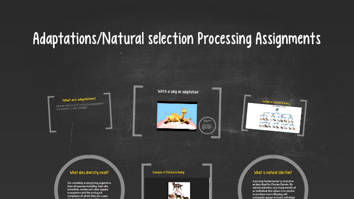 Adaptations/Natural selection Processing Assignments by Jani Jung on Prezi