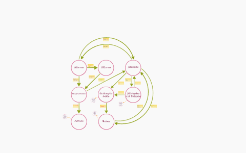 Organic Synthesis Pathways for A-level Chemistry OCR F324 by Charlotte ...