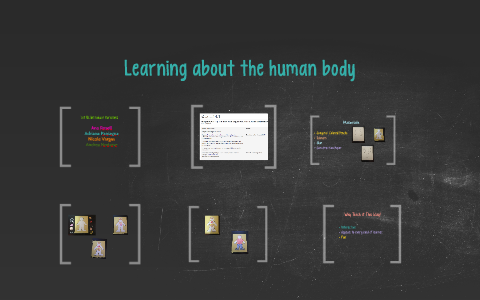Learning about the human body by Adriana Paniagua on Prezi