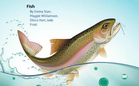 Fish by Emma Starr on Prezi