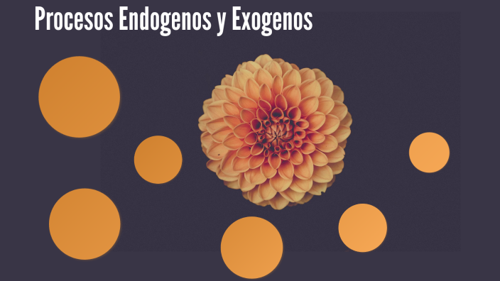 procesos exógenos y endógenos by Lucia Ruiz on Prezi