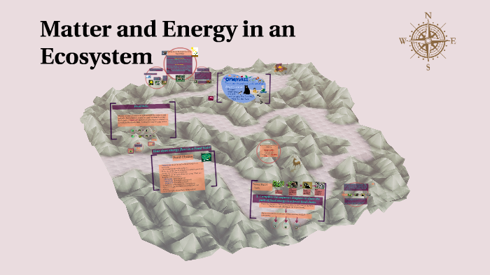 Matter and Energy in an Ecosystem by Christy Gilbert on Prezi