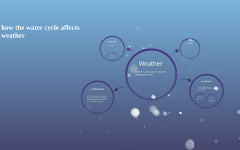 how the water cycle affects weather by jalen king on Prezi