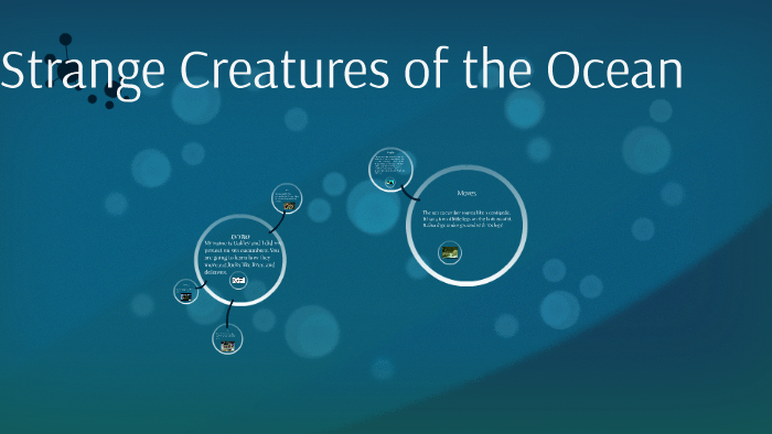 Strange Creature of the Ocean by Carrie Anazia on Prezi