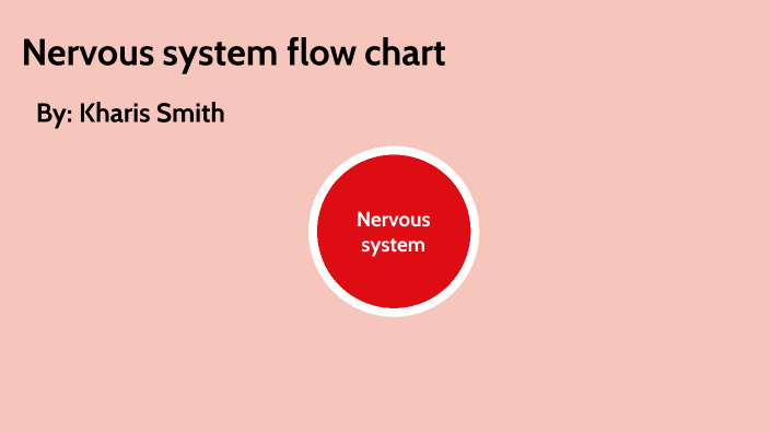 Nervous system flow chart by Kharis Smith on Prezi