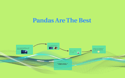 Pandas Are The Best by Michael Kadan on Prezi