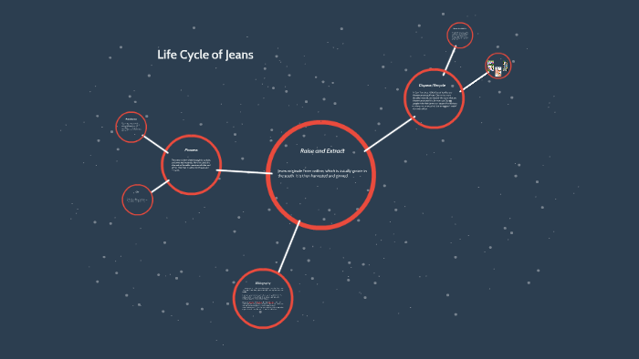 Life Cycle of Jeans by Catherine Pollard on Prezi