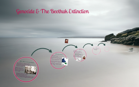 Genocide & The Beothuk Extinction by Eric Veenstra on Prezi