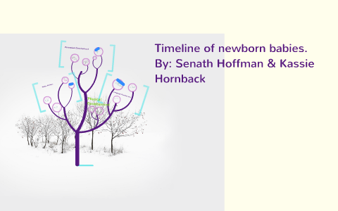 Timeline of newborn babies. by Kassie Hornback on Prezi