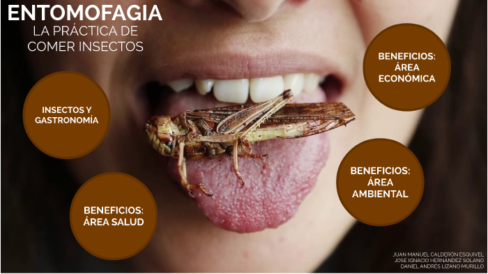 Entomofagia: Insectos y Gastronomía by Daniel Lizano Murillo on Prezi