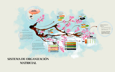 SISTEMA DE ORGANIZACIÓN MATRICIAL by Cristina Velasco on Prezi