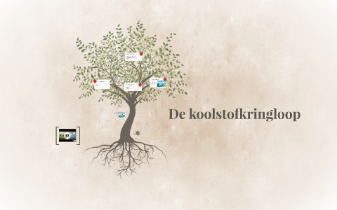 De koolstofkringloop by Sander Vollebregt on Prezi