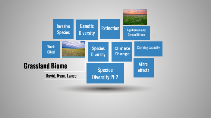 Grassland Biome by David Kramer on Prezi