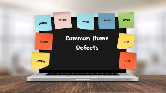 Common Home Defects by Joseph Fox on Prezi