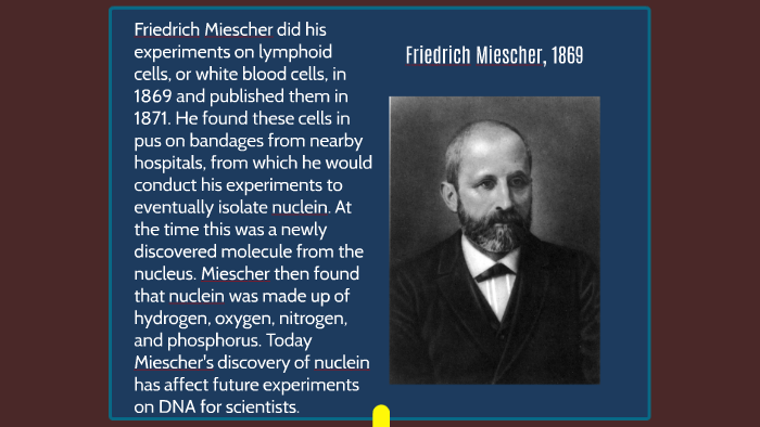 Discovery of DNA Timeline Project by mark carstairs on Prezi