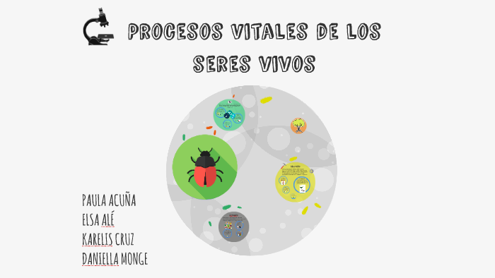 Procesos Vitales de los seres vivos by Karelys Cruz on Prezi