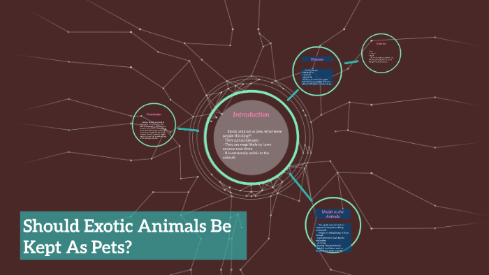 Should Exotic Animals Be Kept As Pets? by Phoenix Rising on Prezi