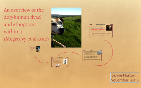 An overview of the dog-human dyad and ethograms within it by Joanne ...