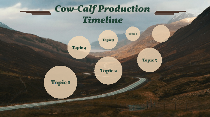 Cow-Calf Production Timeline by Alexzander Olliff on Prezi