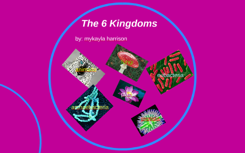 The 6 Kingdoms by mykayla harrison on Prezi