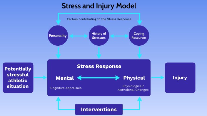 Stress and Injury Model by Imogen Ridout on Prezi