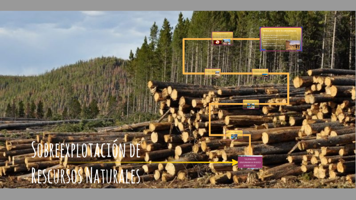 Sobreexplotación de los recursos naturales by on Prezi