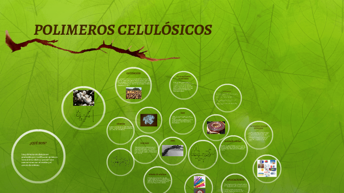 POLIMEROS CELULÓSICOS by Helmunt Rodriguez on Prezi