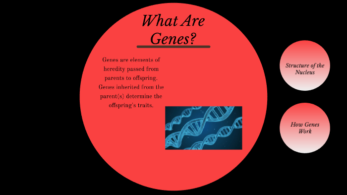 inherited traits student choice project by tori wqofmfnsn on Prezi