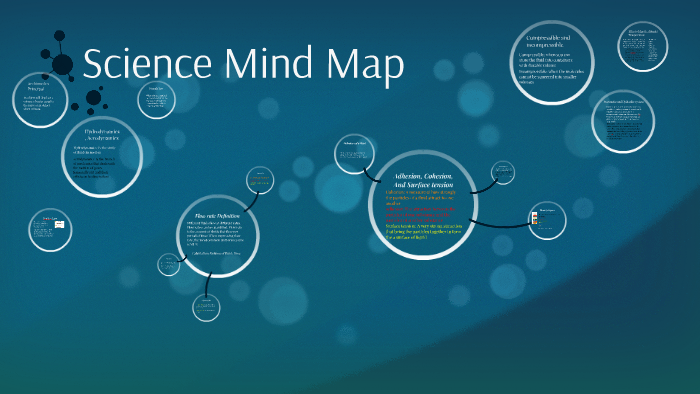 Science Mind Map by marlee weinerman on Prezi