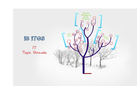 IB ITGS Strands by Savannah Herrera on Prezi