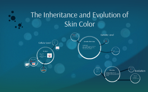The Inheritance and Evolution of Human Skin Color by Nina Wolff Landau ...