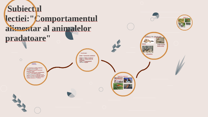 Comportamentul alimentar al animalelor pradatoare by Pricop Rodica on Prezi