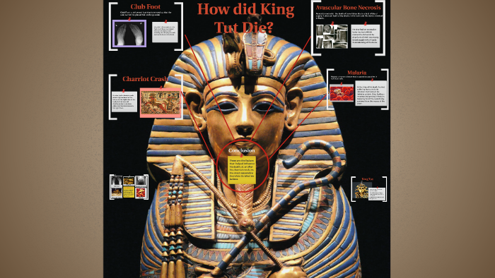Who Killed King Tut? Did King Tut die really die? by geannie canas on Prezi