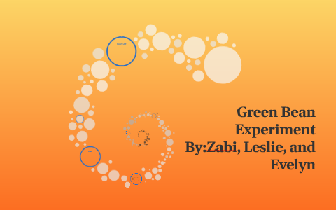 Green Bean Experiment by Zabilon Dessalegn on Prezi